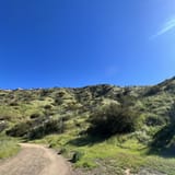 Shelf Road Trail, California - 983 Reviews, Map | AllTrails