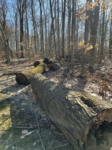 Best Hikes and Trails in Knox Farm State Park | AllTrails
