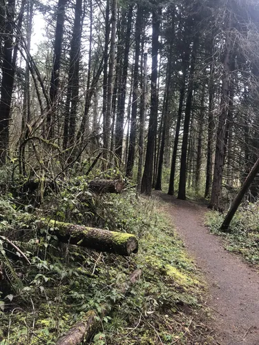 10 Best Short Trails in McDonald Research Forest | AllTrails