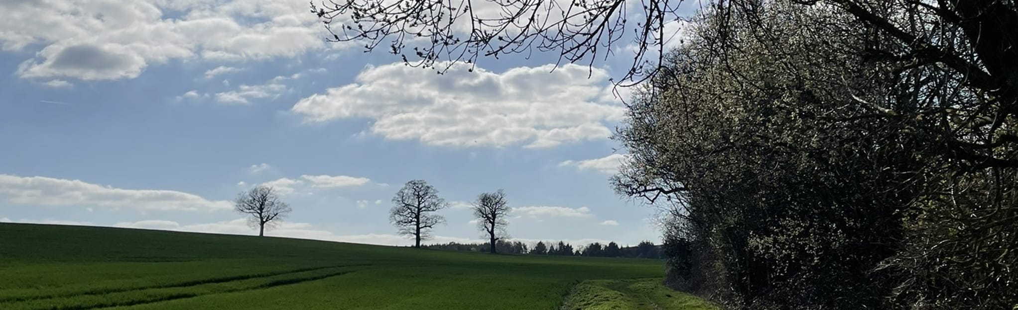 Wootton Wawen Circular, Warwickshire, England - 27 Reviews, Map | AllTrails