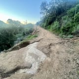 Altadena Crest Trail, California - 577 Reviews, Map | AllTrails