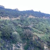 Altadena Crest Trail, California - 577 Reviews, Map | AllTrails