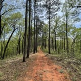 Sprewell Bluff Trail , Georgia - 105 Reviews, Map | AllTrails