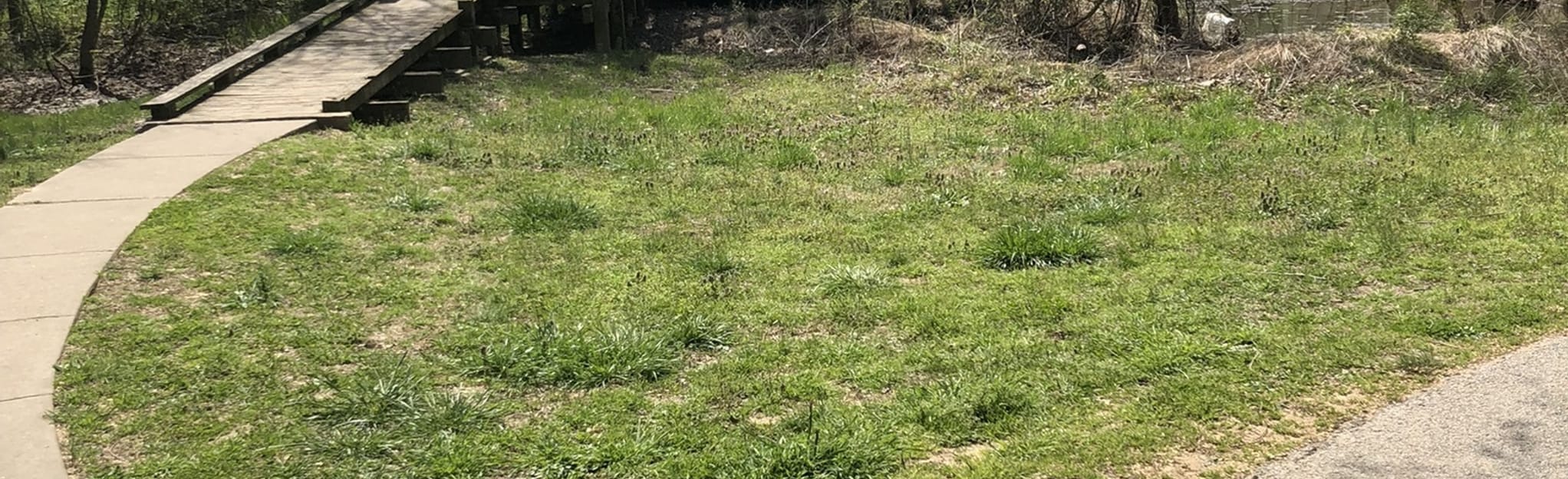 Bryce Davis Park: 16 Reviews, Map - Arkansas | AllTrails