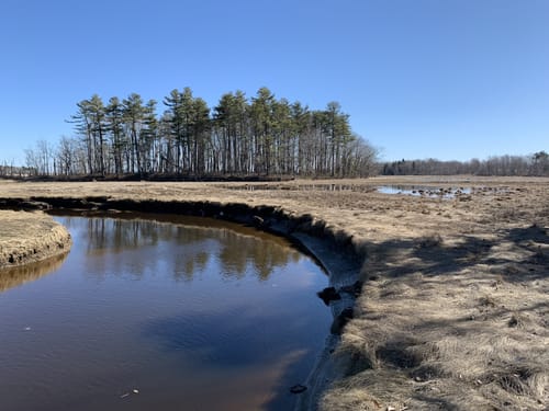 2023 Best Easy Trails in Rachel Carson National Wildlife Refuge | AllTrails