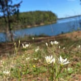 Bartram Trail: West Dam Recreation Area to Washington Road, South ...