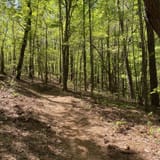 Bartram Trail: West Dam Recreation Area to Washington Road, South ...