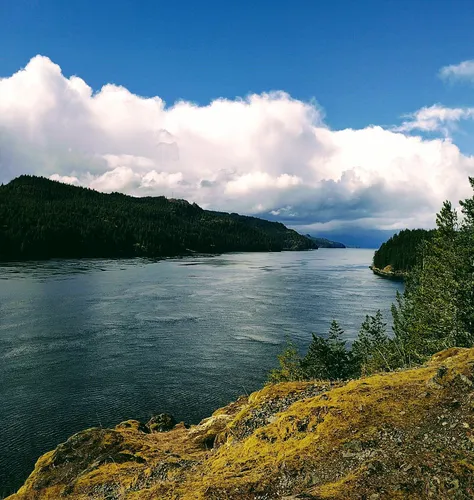 Best Hikes and Trails in Maud Island Recreation Site | AllTrails