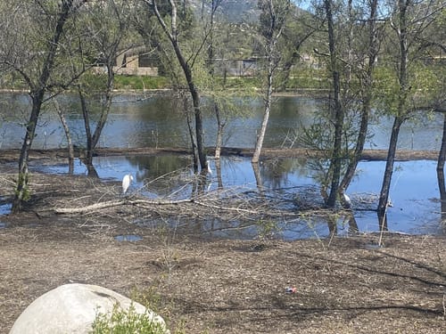 Best Hikes and Trails in Lindo Lake County Park | AllTrails