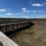 Neabsco Creek Boardwalk, Virginia - 651 Reviews, Map | AllTrails