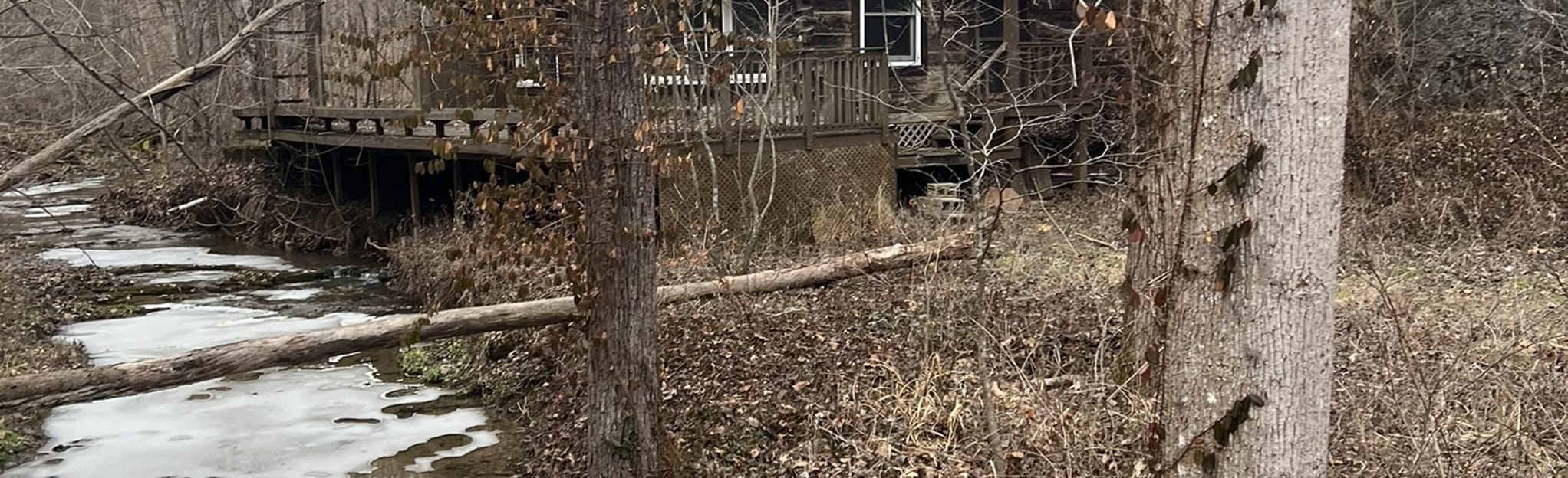 Crawdad Creek Trail, Ohio - 69 Reviews, Map | AllTrails