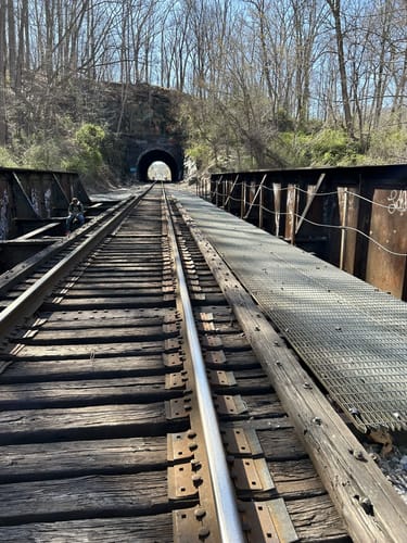 Best Hikes and Trails in Hugg-Thomas Wildlife Mgmt Area | AllTrails