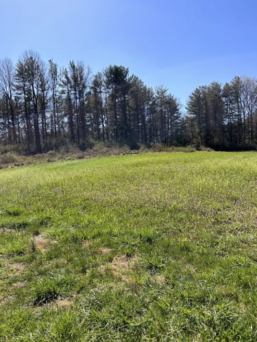 Best Hikes and Trails in Hugg-Thomas Wildlife Mgmt Area | AllTrails