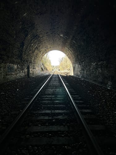 Best Hikes and Trails in Hugg-Thomas Wildlife Mgmt Area | AllTrails