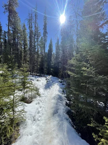 Best Hikes and Trails in Call Lake Provincial Park | AllTrails