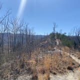 Devil's Racetrack Trail, Tennessee - 561 Reviews, Map | AllTrails