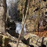 Devil's Racetrack Trail, Tennessee - 561 Reviews, Map | AllTrails