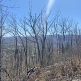 Devil's Racetrack Trail, Tennessee - 561 Reviews, Map | AllTrails