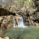 Devil's Racetrack Trail, Tennessee - 561 Reviews, Map | AllTrails
