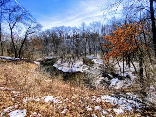 Best Hikes and Trails in Lower Purgatory Creek Conservation Area ...