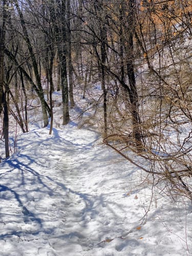 Best Hikes and Trails in Lower Purgatory Creek Conservation Area ...