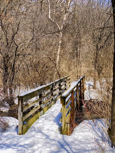 Best Hikes and Trails in Lower Purgatory Creek Conservation Area ...
