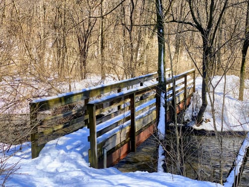Best Hikes and Trails in Lower Purgatory Creek Conservation Area ...