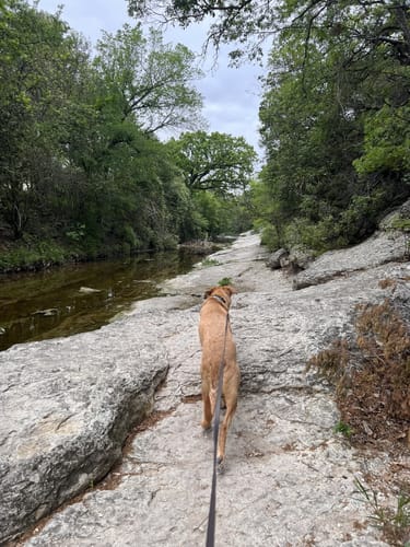 Best Hikes and Trails in Copperfield Park | AllTrails