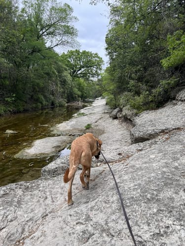 Best Hikes and Trails in Copperfield Park | AllTrails