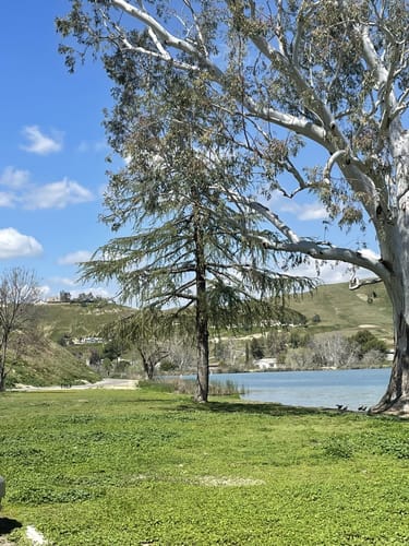 Best Hikes and Trails in Kern County Park | AllTrails