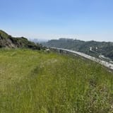 Getty View Trail, California - 794 Reviews, Map | AllTrails