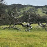 Tenaja Canyon via Tenaja Trail, California - 213 Reviews, Map | AllTrails