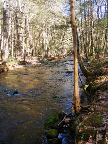 Best Hikes and Trails in Nathan B. and Anne Perry Talbot Wildlife Area ...