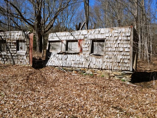 Best Hikes and Trails in Nathan B. and Anne Perry Talbot Wildlife Area ...