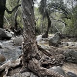 Tenaja Canyon via Tenaja Trail, California - 213 Reviews, Map | AllTrails