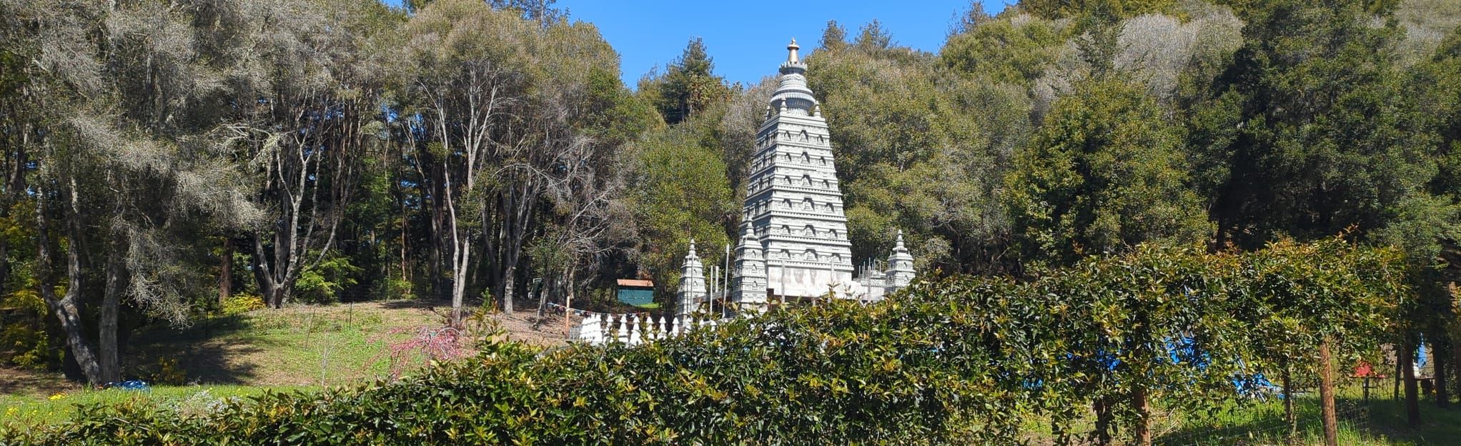Three Mile Trail Loop, California - 347 Reviews, Map | AllTrails