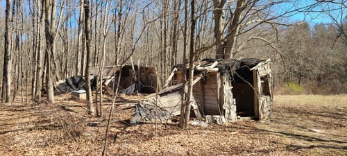 Best Hikes and Trails in Nathan B. and Anne Perry Talbot Wildlife Area ...