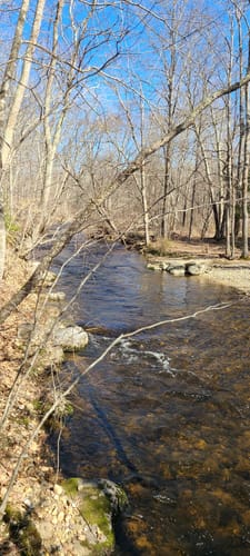 Best Hikes and Trails in Nathan B. and Anne Perry Talbot Wildlife Area ...