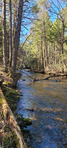 Best Hikes and Trails in Nathan B. and Anne Perry Talbot Wildlife Area ...