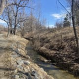 Niwot Loop Trail, Colorado - 462 Reviews, Map | AllTrails