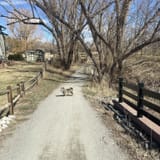 Niwot Loop Trail, Colorado - 462 Reviews, Map | AllTrails