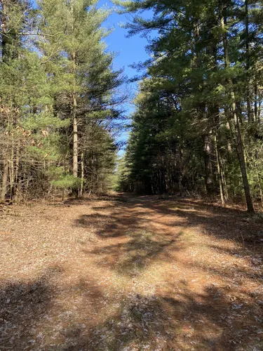 2023 Best Trail Running Trails in Sand Ridge State Forest | AllTrails