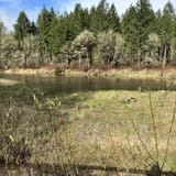 Lacamas Lake Heritage Trail, Washington - 678 Reviews, Map | AllTrails