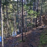 Lower Hadlock Pond Loop Trail, Maine - 505 Reviews, Map | AllTrails