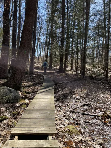 10 Best Trails and Hikes in Exeter | AllTrails