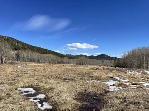 2023 Best Wild Flowers Trails in Pinecliffe | AllTrails