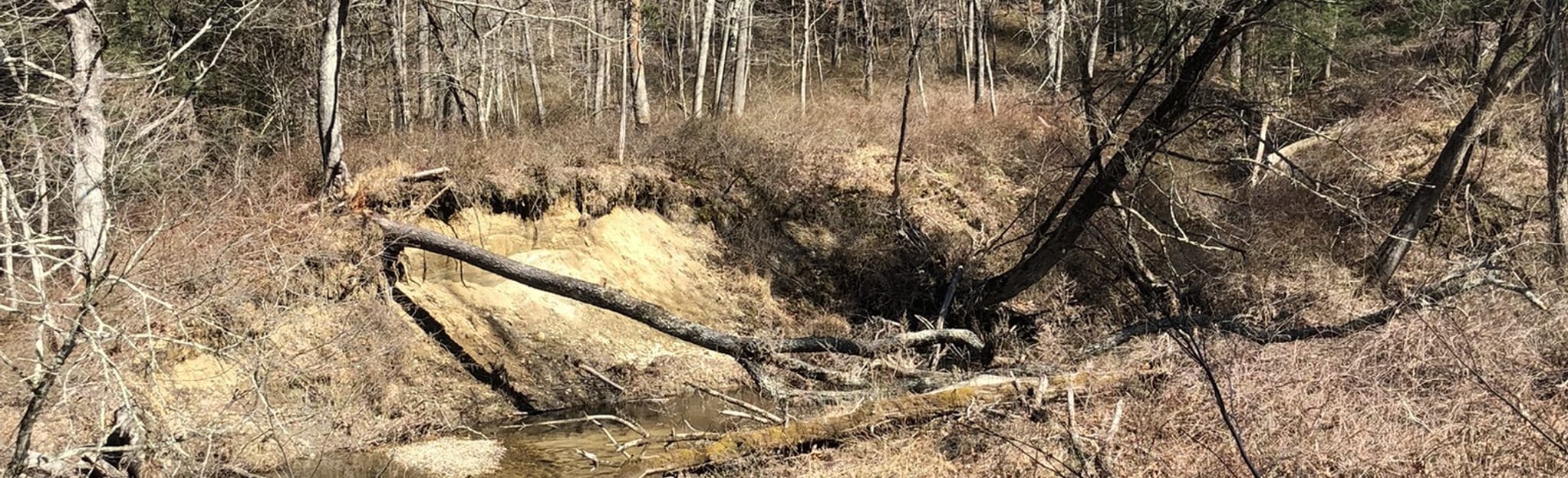 Housatonic Ridge Trail to Candlewood Mountain, Connecticut - 48 Reviews ...