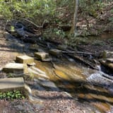 East Fork Trail, South Carolina - 292 Reviews, Map | AllTrails