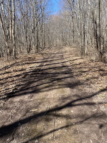 Best Hikes and Trails in Mountain Top | AllTrails