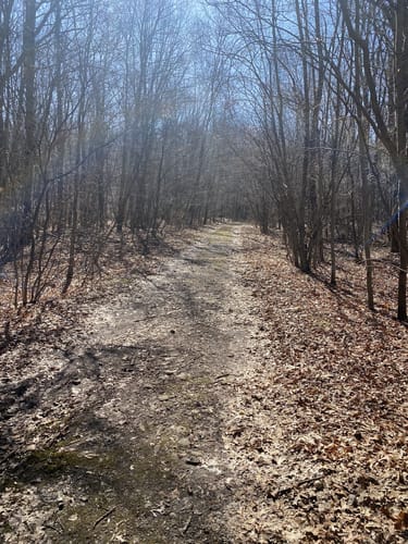 Best Hikes and Trails in Mountain Top | AllTrails